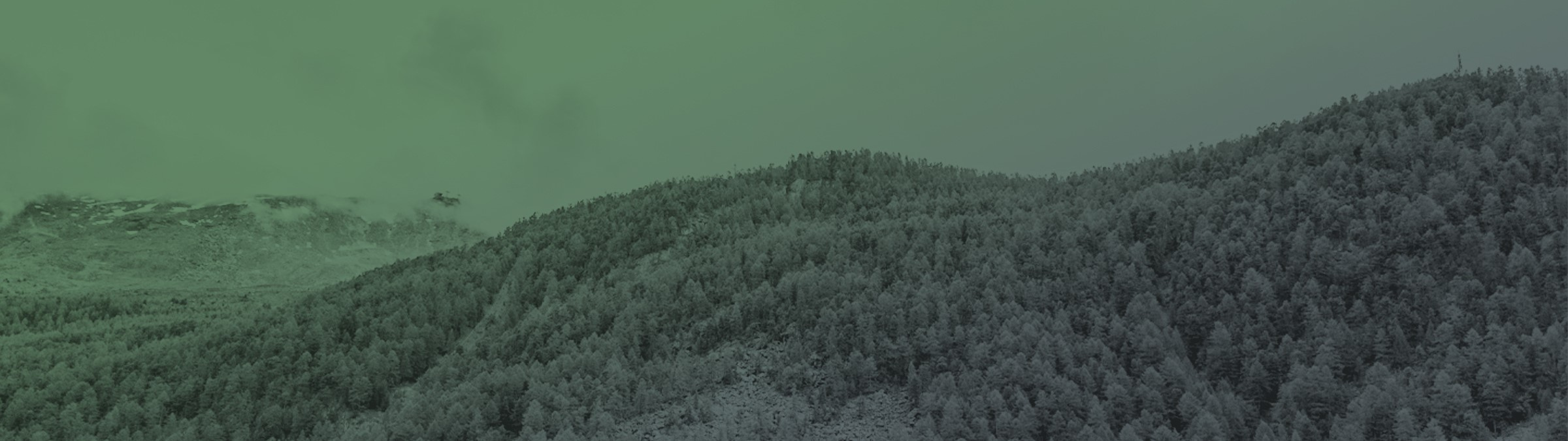 Landqart - Digisafe®