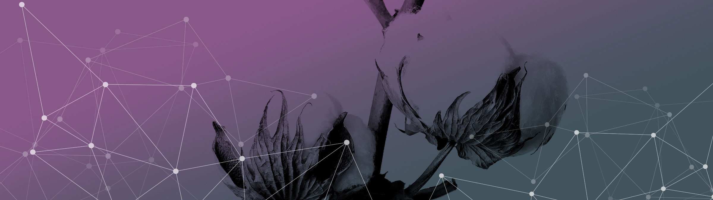 Landqart - Durasafe®